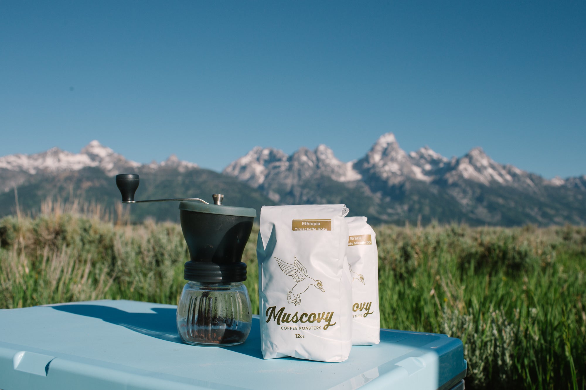 Muscovy Coffee Roasters